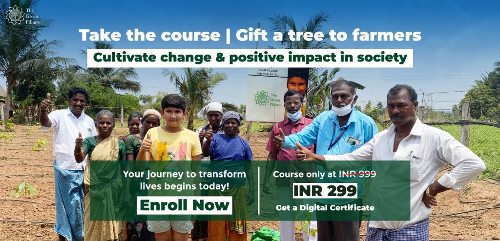 Be The Impact Creator Course: An Action Plan for Community Service ...