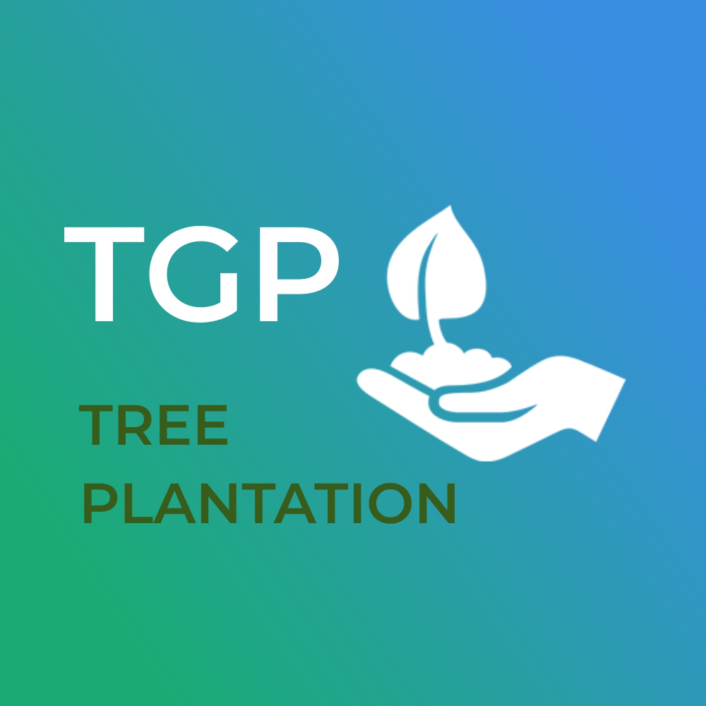 Global Tribe – The Green Pillar