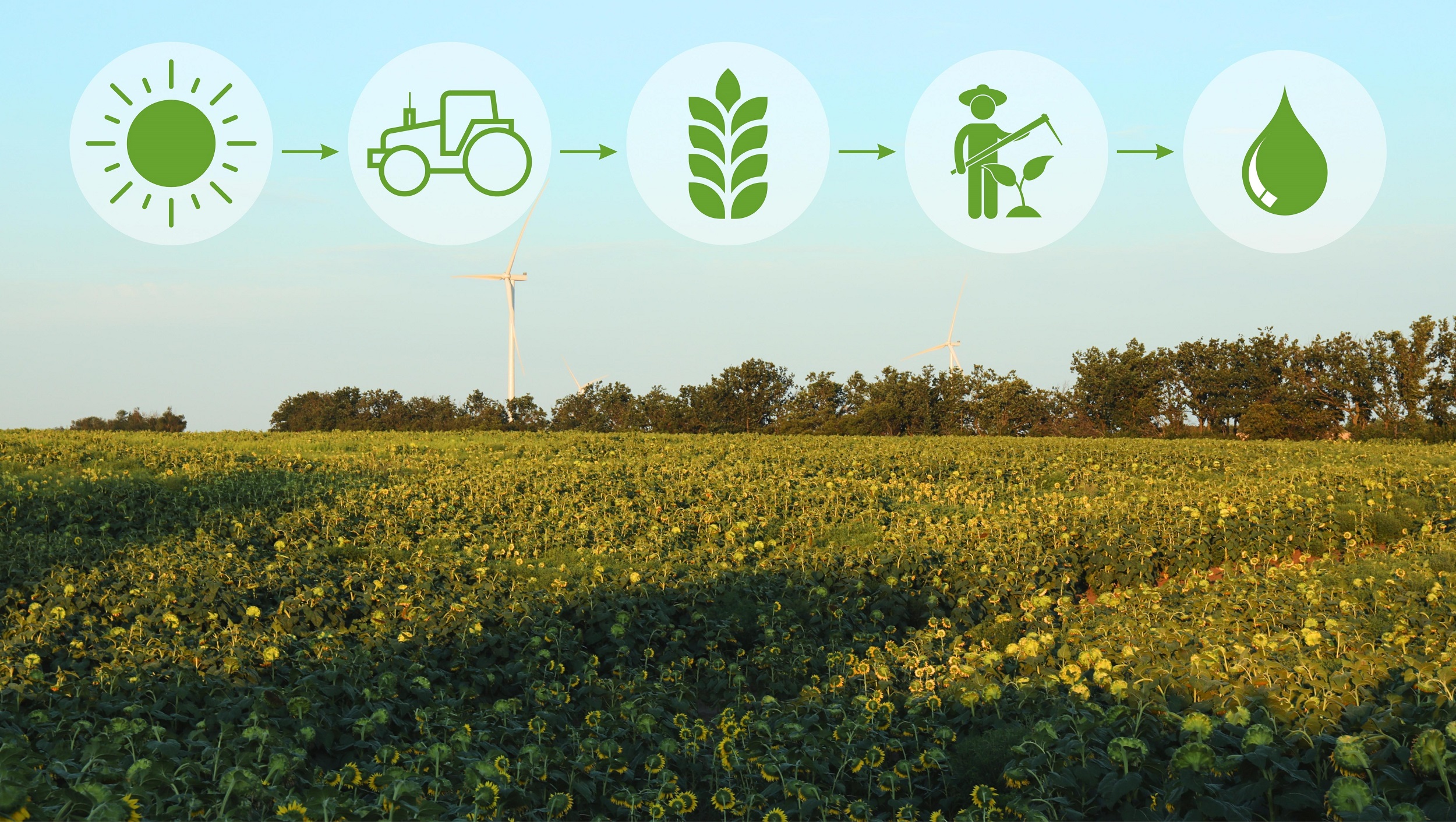 Assessing AI’s Carbon Footprints: A Closer Look From a Sustainable Lens ...